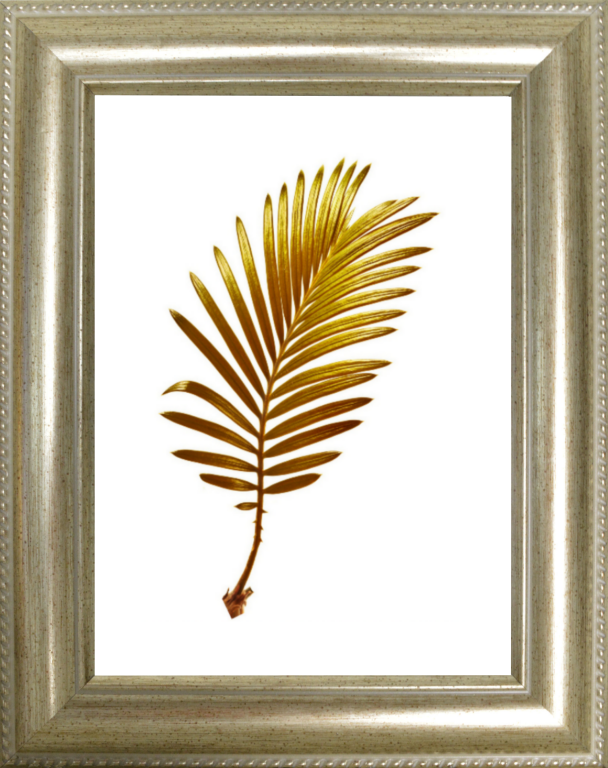 Ray frame - Far Frames - Resin frame - Table photo frame